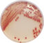 CHROMagar™ Acinetobacter – Chromagar