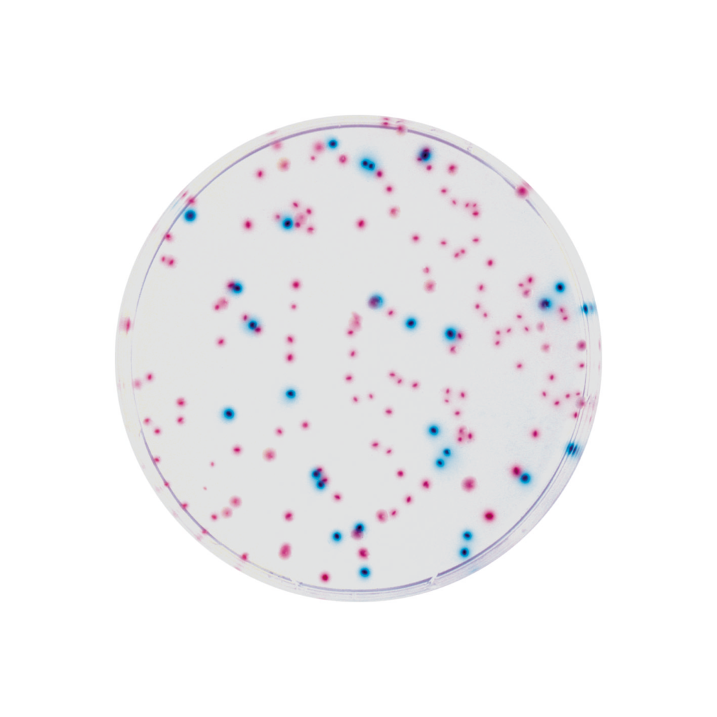 CHROMagar™ ECC - Chromagar