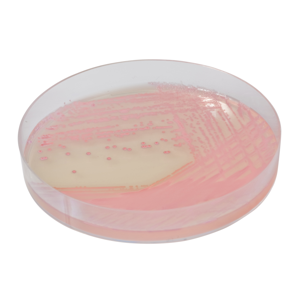 CHROMagar™ MRSA - Chromagar